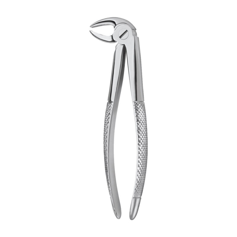 FORCEPS ADULTO #13 PICO DE LORO GRUESO PARA CANINOS Y PREMOLARES ...