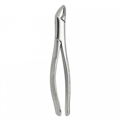 FORCEPS ADULTO #151 PARA INCISIVOS PREMOLARES Y RAICES INFERIORES ...