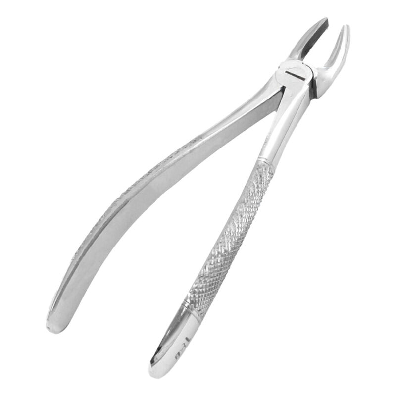 FORCEPS ADULTO #13 PICO DE LORO GRUESO PARA CANINOS Y PREMOLARES ...