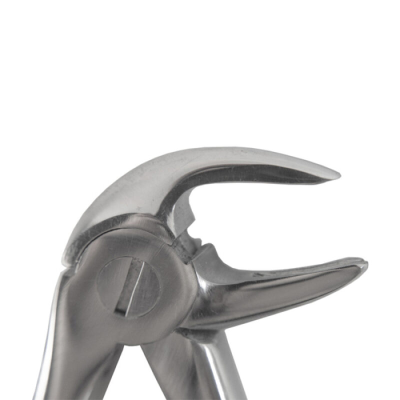 ALVEOGYL SEPTODONT - Dentosmed