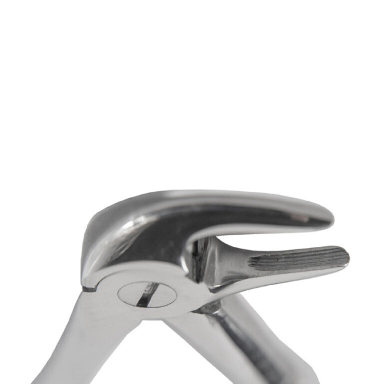 FORCEPS ADULTO #33 INGLES PICO DE LORO MEDIANO PARA RAICES INFERIORES ...