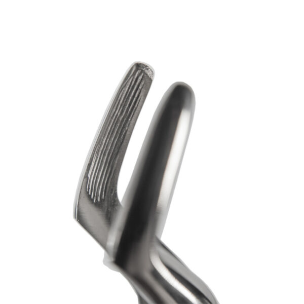 FORCEPS ADULTO #79A INGLES PARA TERCER MOLAR INFERIOR SIN ESPOLON ... FORCEPS ADULTO #79A INGLES PARA TERCER MOLAR INFERIOR SIN ESPOLON ...