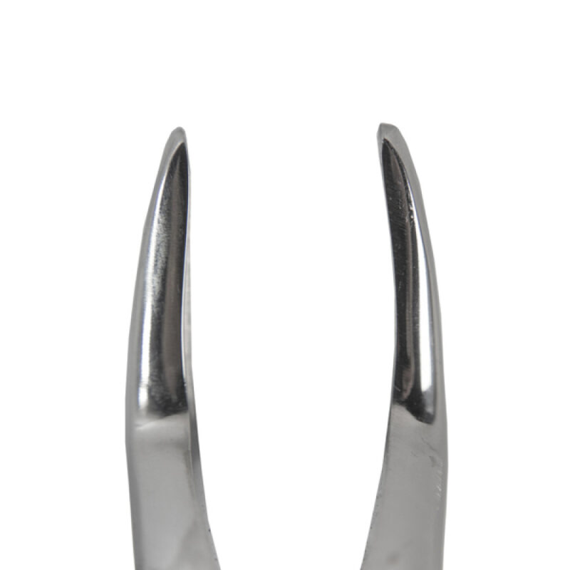 FORCEPS ADULTO #51 BAYONETA FINA RAICES SUPERIORES - Dentosmed